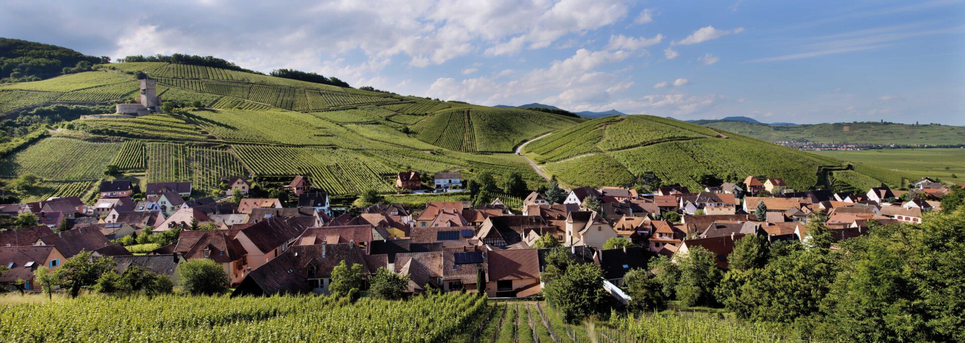 Meyer-Fonné